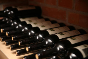 Vinarija Coner - Travel Croatia Live