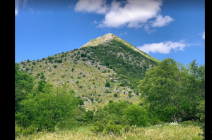 Vrgorac » Matokit vrh Sveti Rok - Travel Croatia Live