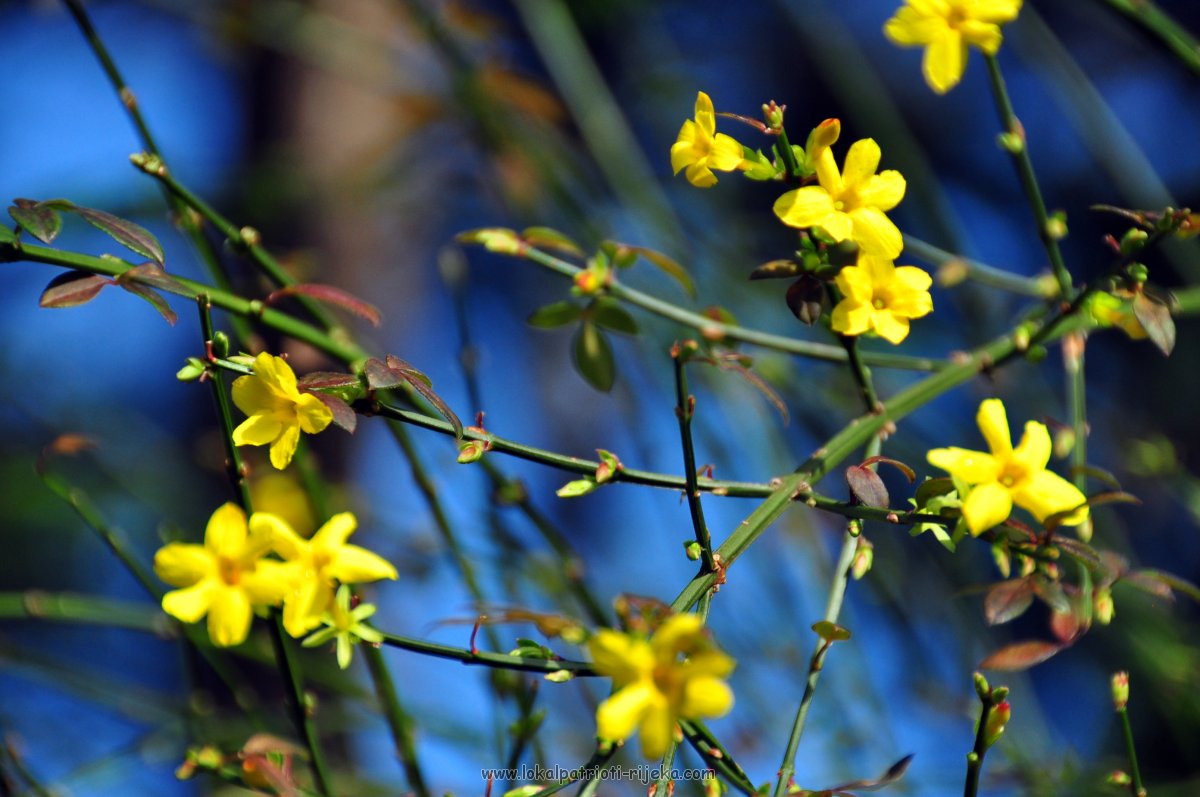 Park Heroja, Trsatski park - Travel Croatia Live